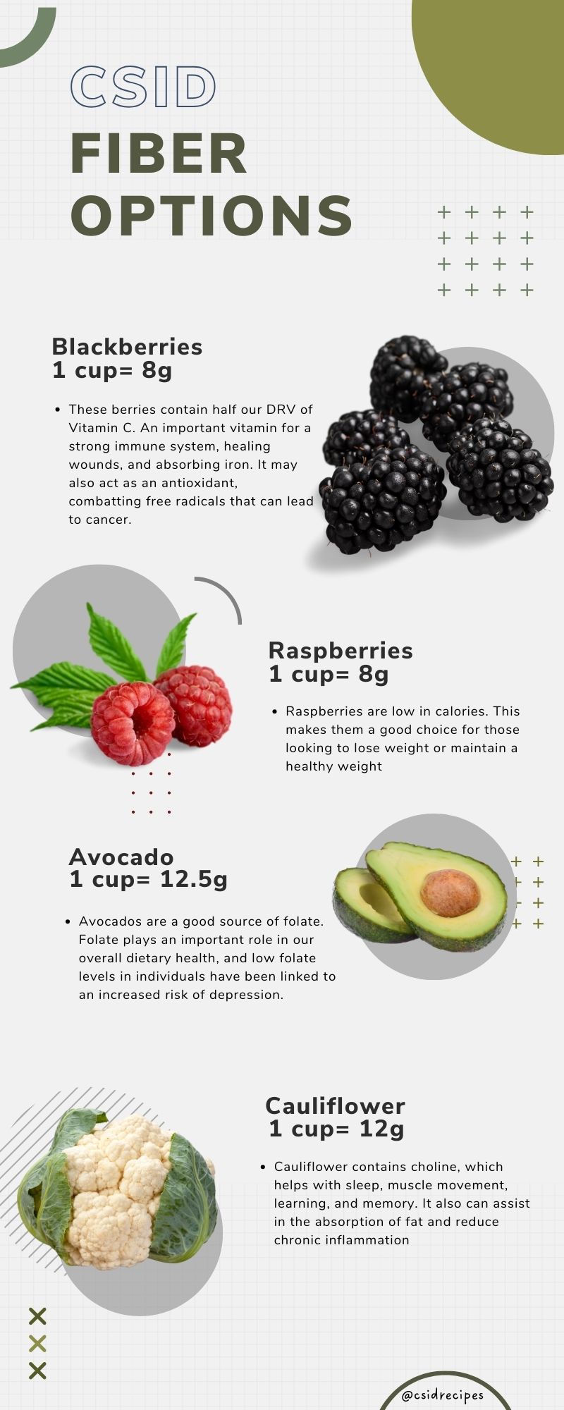 Fiber: What’s the Deal? And Why Should We Eat More? – Sugar and Starch ...